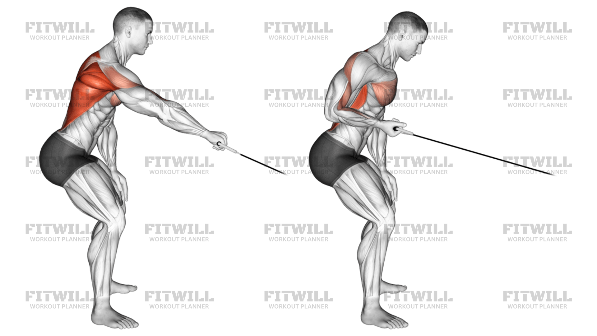 Cable Palm Rotational Row: Exercise Guide, Video, Techniques, Benefits ...