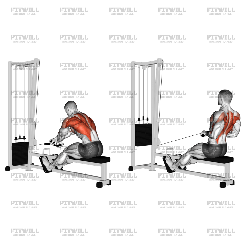 Remo Sentado Con Cuerda En Máquina De Poleas: Guía de Ejercicios, Video ...