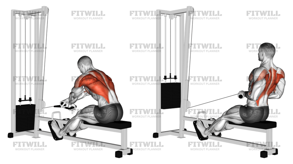 Cable Rope Crossover Seated Row: Exercise Guide, Video, Techniques ...