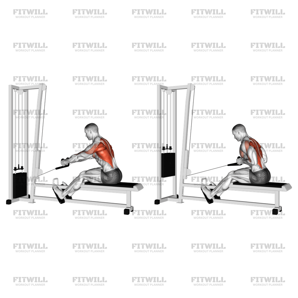 Remada Sentada Elevada Com Cabo E Corda: Guia de Exercícios, Técnicas ...