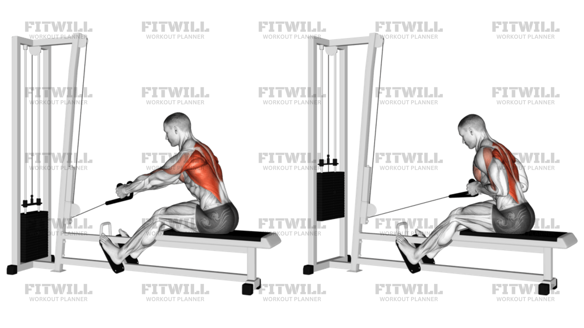 Cable Rope Elevated Seated Row: Exercise Guide, Techniques, Benefits ...