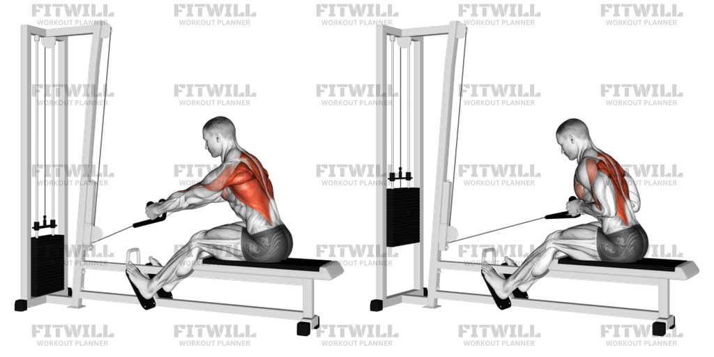 Cable Rope Elevated Seated Row: Exercise Guide, Techniques, Benefits ...