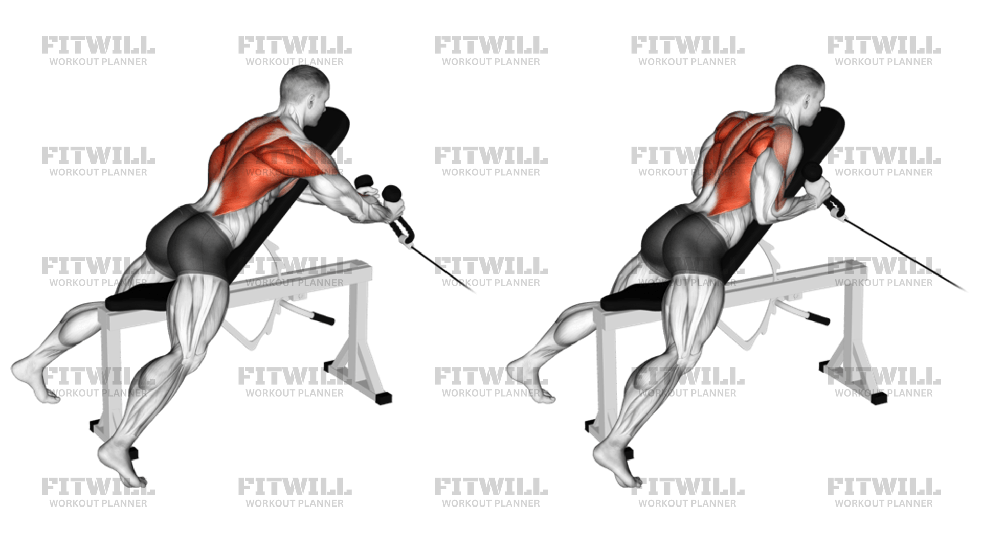 Cable Rope Extension Incline Bench Row: Exercise Guide, Techniques ...