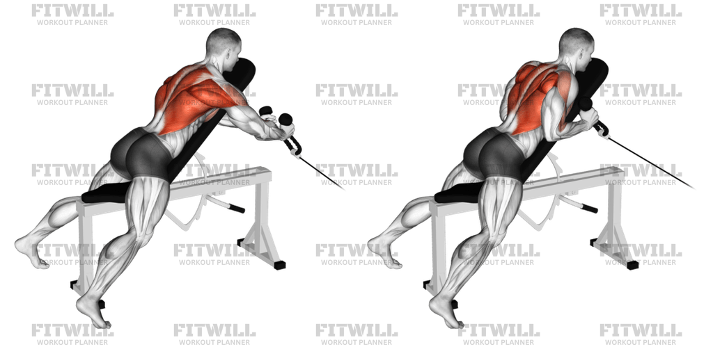 Remo En Banco Inclinado Con Cuerda En Polea: Guía de Ejercicios ...