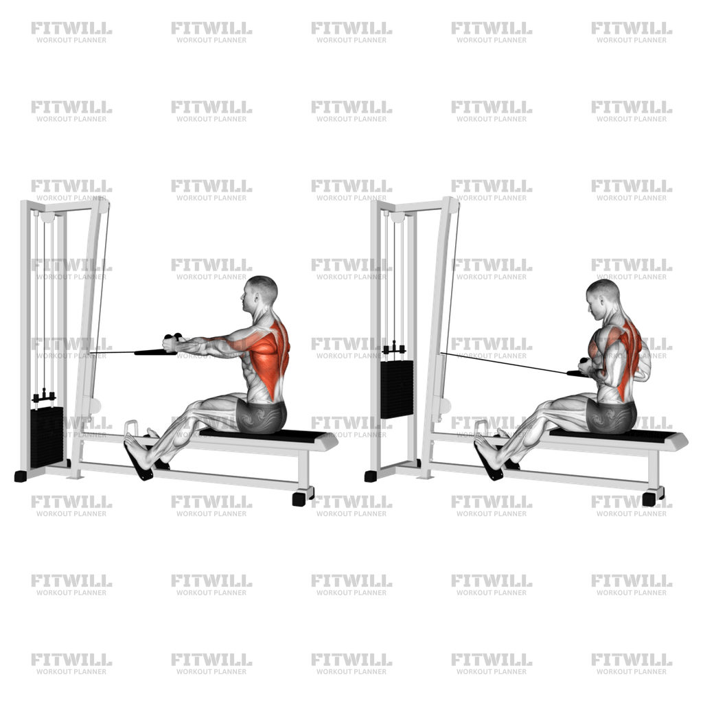 Cable Rope Seated Row: Exercise Guide, Video, Techniques, Benefits, How to, Muscles Worked, Tips ...