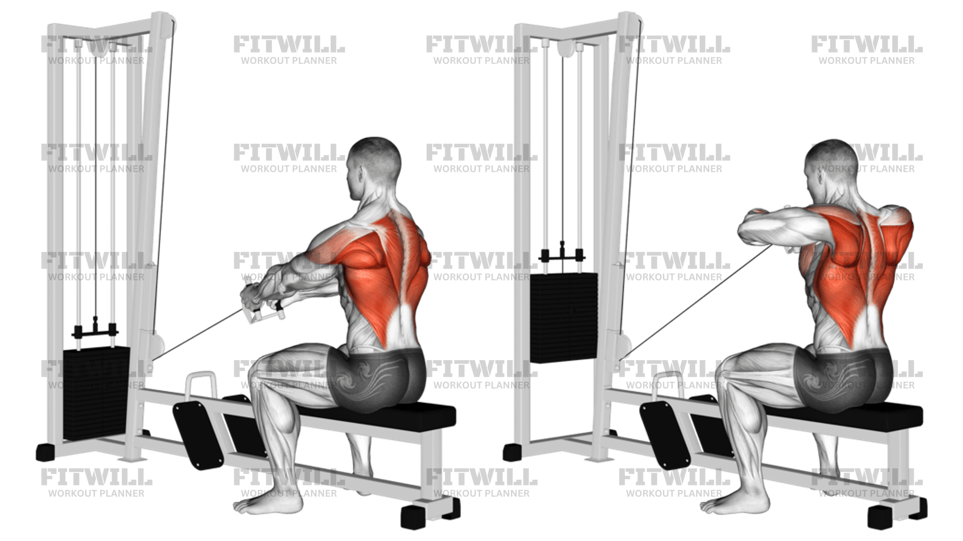 Cable Upper Row: Exercise Guide, Techniques, Benefits, How to, Muscles ...