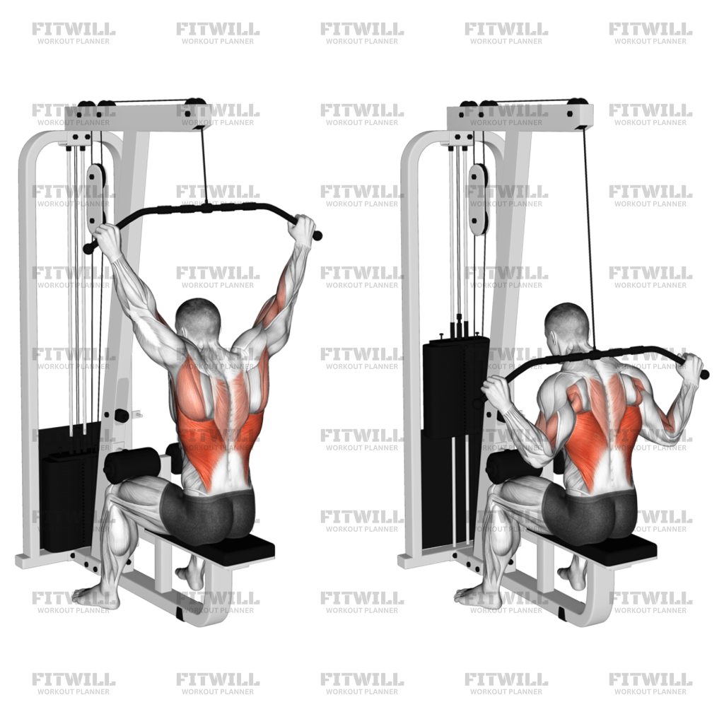 Cable Wide Grip Rear Pulldown Behind Neck: Exercise Guide, Video ...