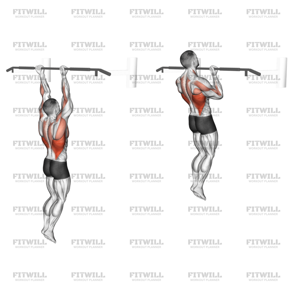 Chin-Up: Exercise Guide, Video, Techniques, Benefits, How to, Muscles ...