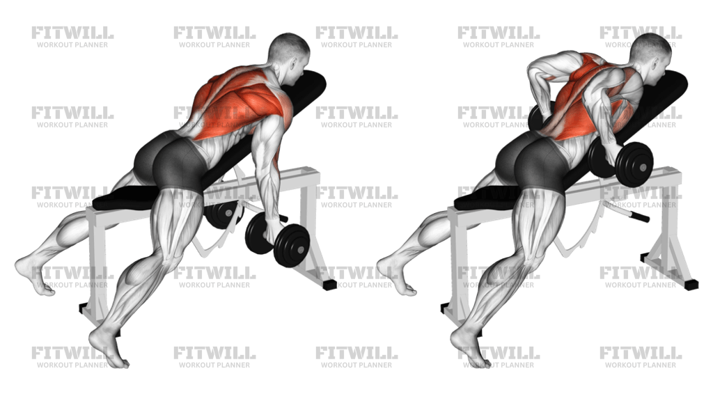 Dumbbell Lying Rear Delt Row: Exercise Guide, Video, Techniques ...