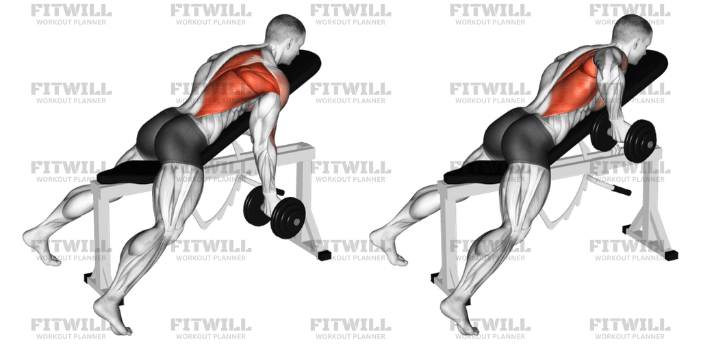 Dumbbell Reverse Grip Incline Bench One Arm Row: Exercise Guide ...