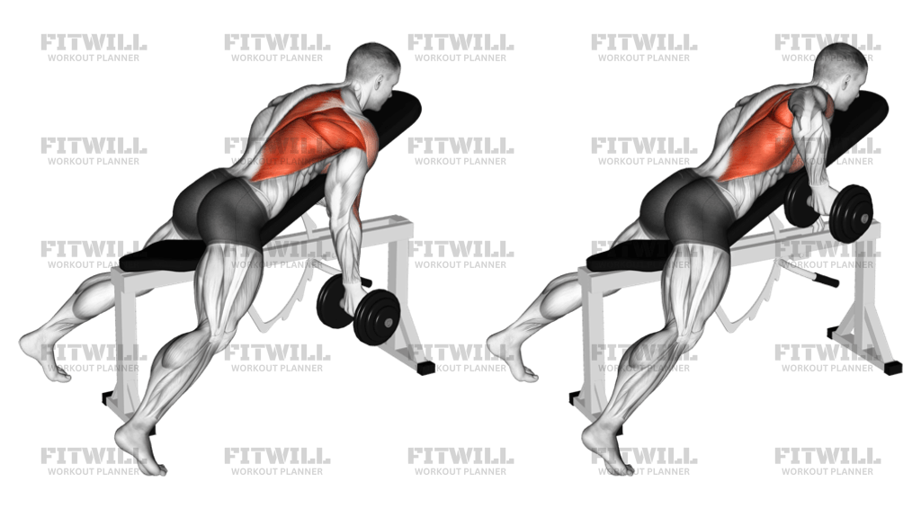 Dumbbell Reverse Grip Incline Bench One Arm Row: Exercise Guide ...