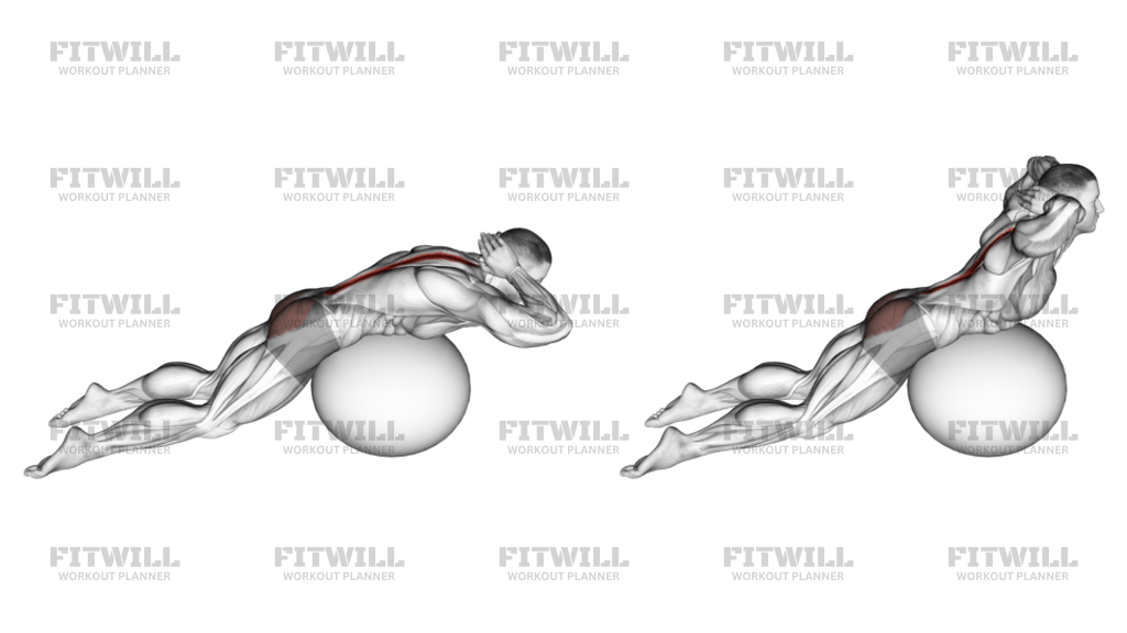 Exercise Ball Back Extension With Hands Behind Head: Exercise Guide ...