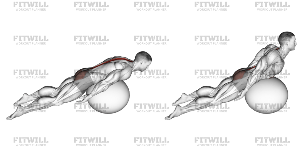 Exercise Ball Back Extension With Knees Off Ground: Exercise Guide ...