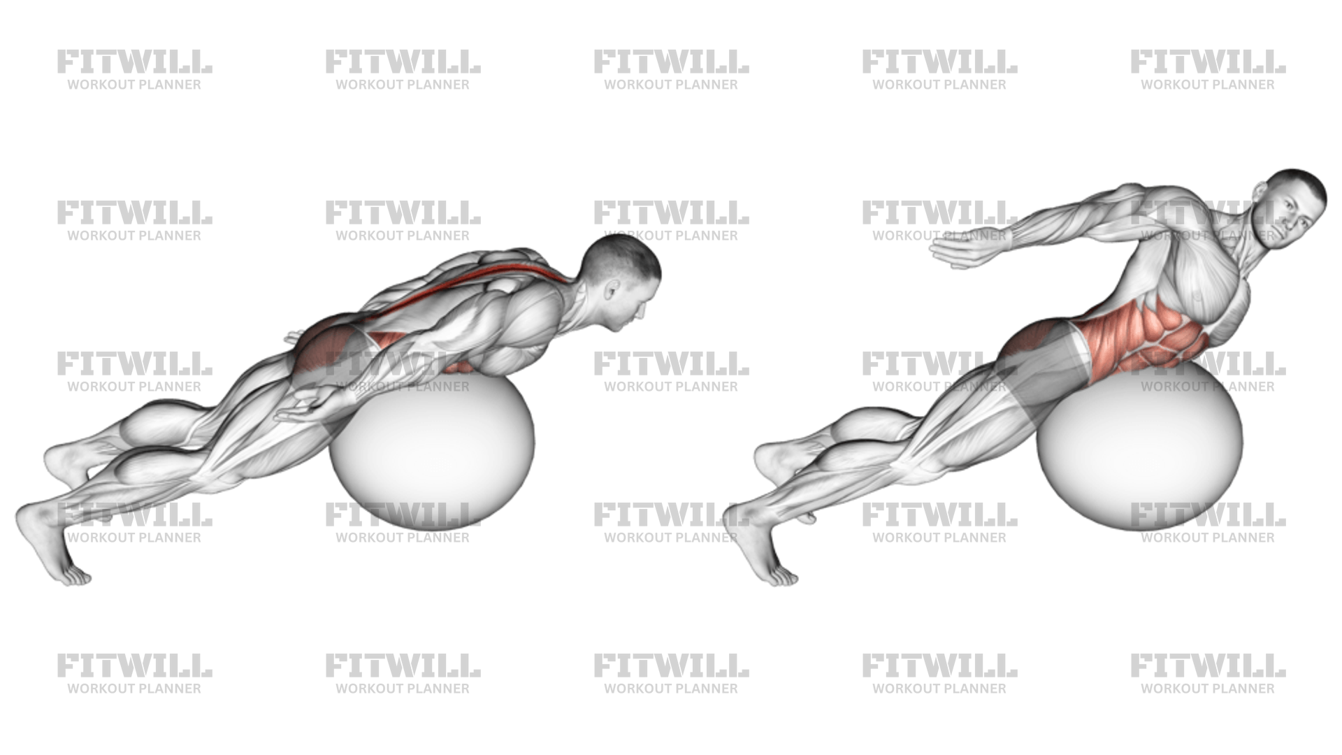 Exercise Ball Back Extension With Rotation: Exercise Guide, Techniques ...