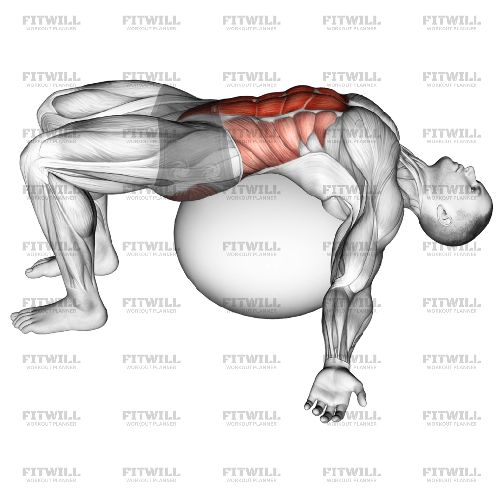 Exercise Ball Back Stretch: Guide, Techniques, Benefits, How to ... Exercise Ball Back Stretch: Guide, Techniques, Benefits, How to ...