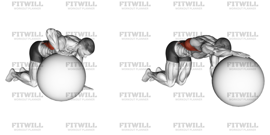 Exercise Ball Lat Stretch: Exercise Guide, Video, Techniques, Benefits ...
