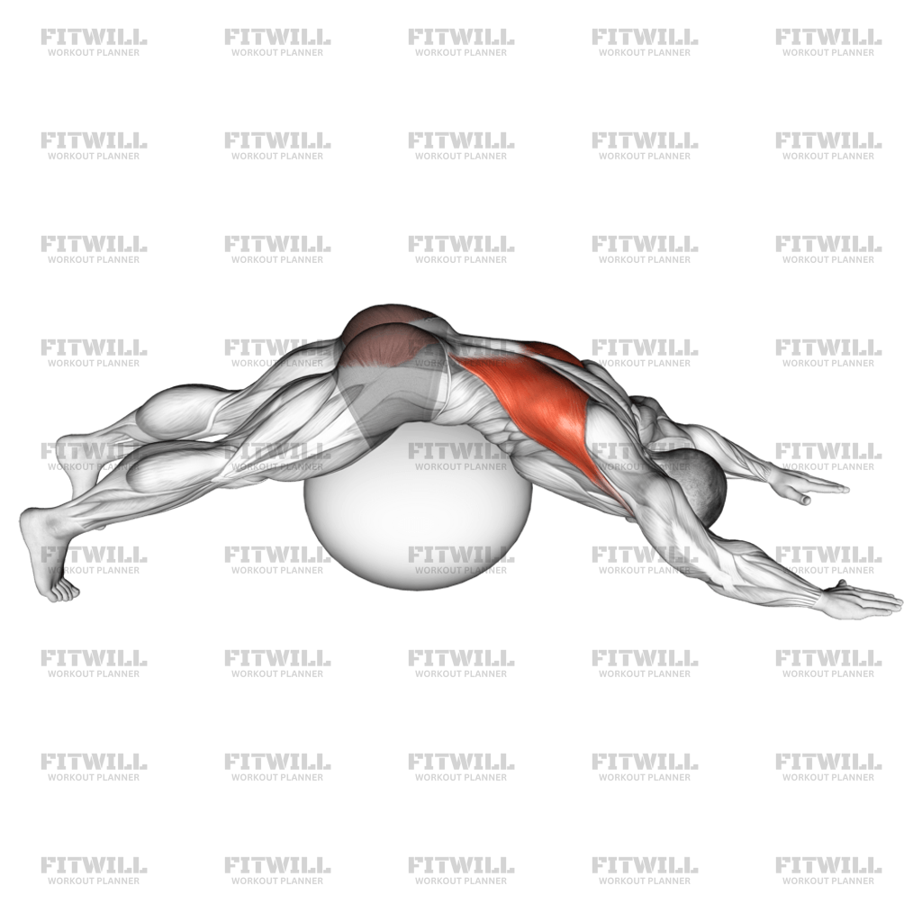 Exercise Ball Lower Back Prone Stretch: Exercise Guide, Techniques ...