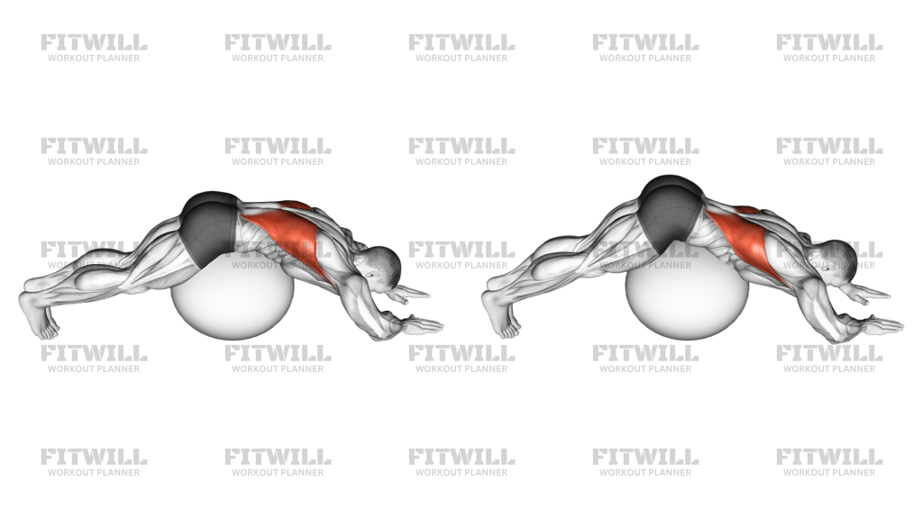 Exercise Ball Lower Back Stretch Pyramid: Exercise Guide, Techniques ...