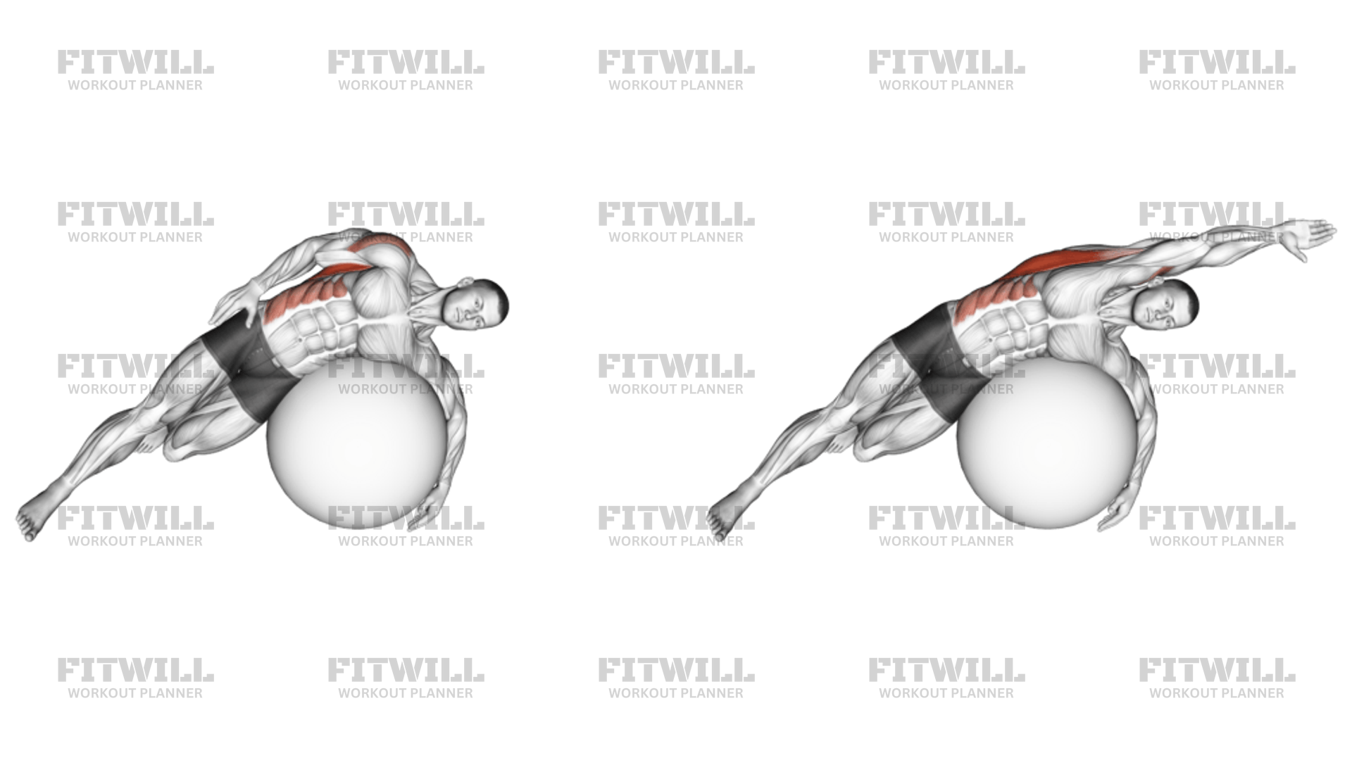 Exercise Ball Lying Side Lat Stretch: Exercise Guide, Video, Techniques ...