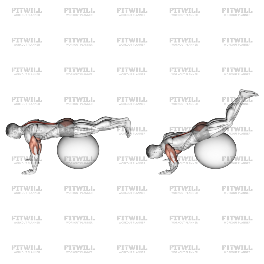 Exercise Ball Prone Leg Raise Guide Techniques Benefits How To Muscles Worked Tips