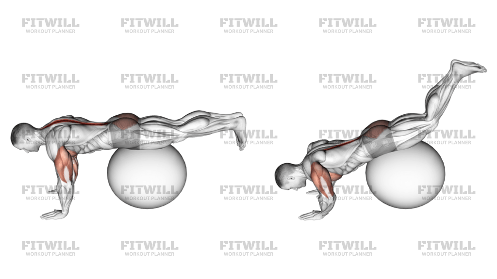 Exercise Ball Prone Leg Raise: Exercise Guide, Techniques, Benefits ...