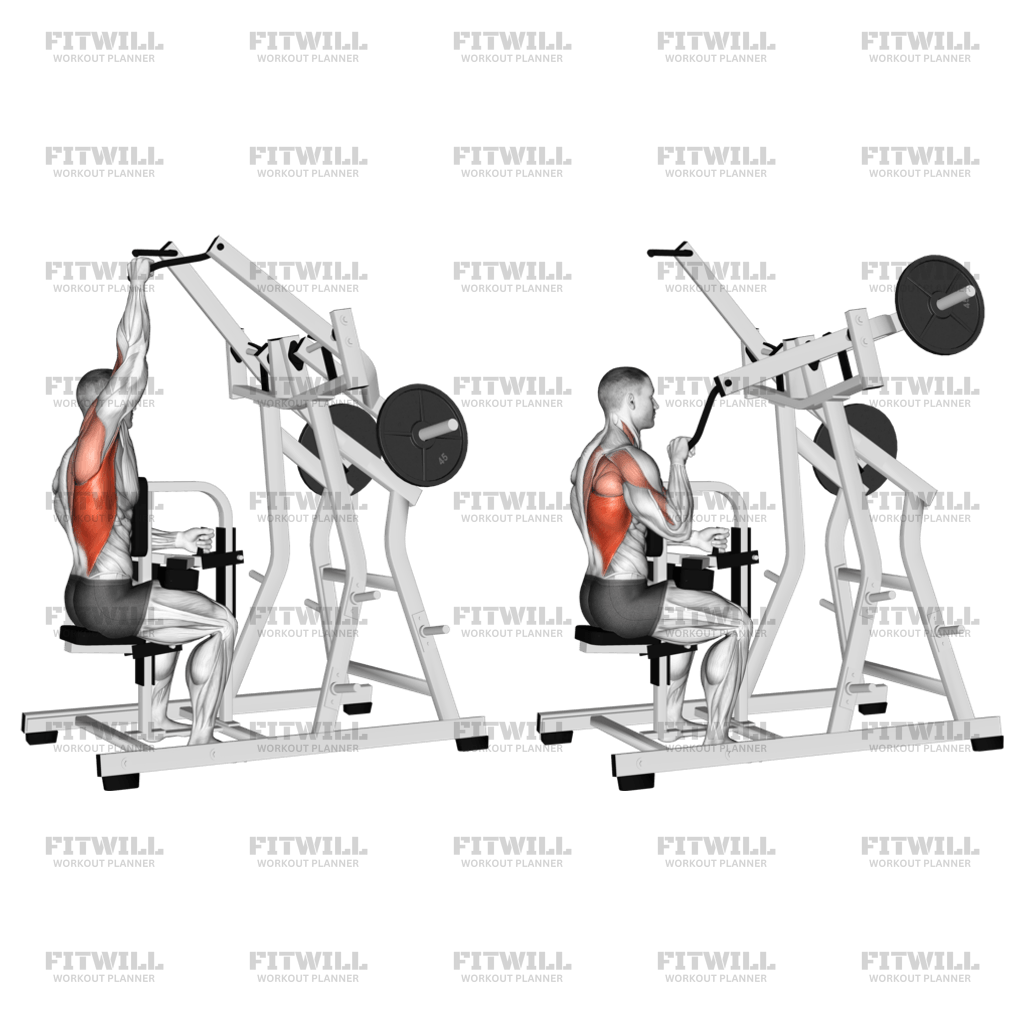 Lever One Arm Lateral Wide Pulldown (plate Loaded): Exercise Guide ...