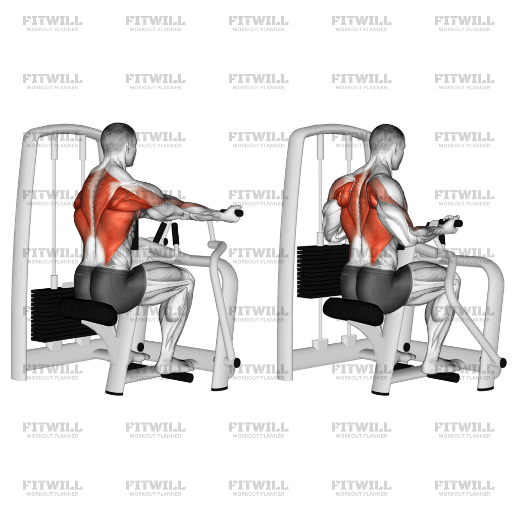 Lever Reverse Grip Vertical Row: Exercise Guide, Techniques, Benefits ...