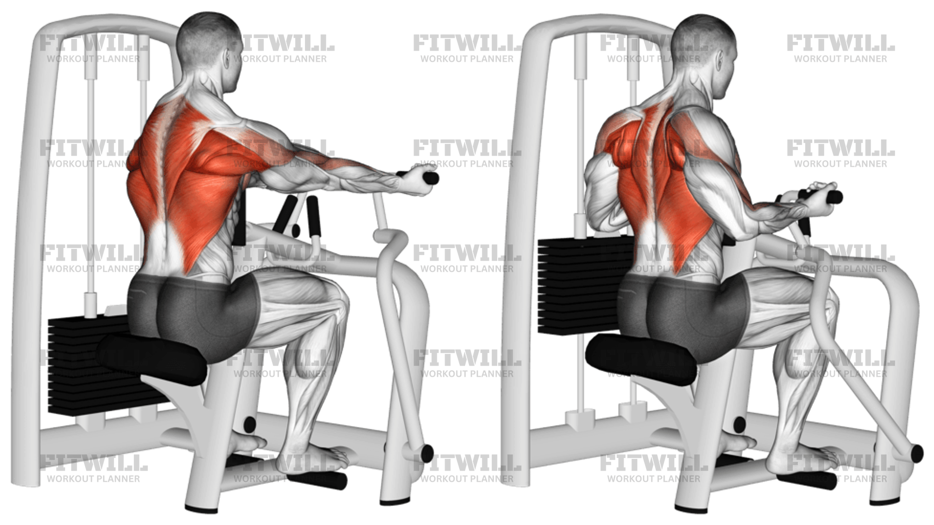 Lever Reverse Grip Vertical Row: Exercise Guide, Techniques, Benefits ...