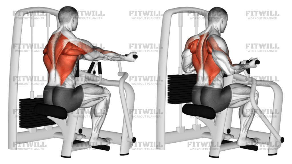 Lever Reverse Grip Vertical Row: Exercise Guide, Techniques, Benefits ...