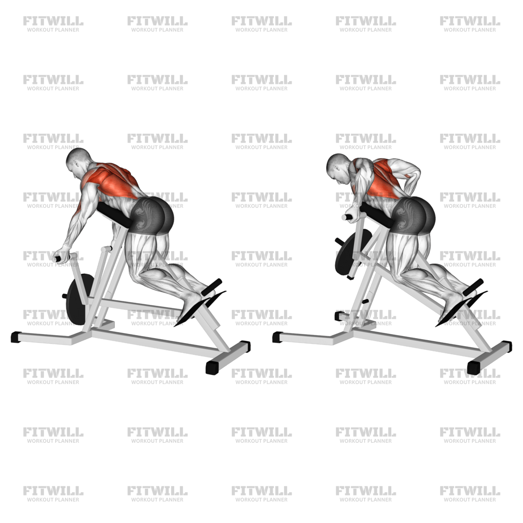 Lever Reverse T-Bar Row: Exercise Guide, Video, Techniques, Benefits ...