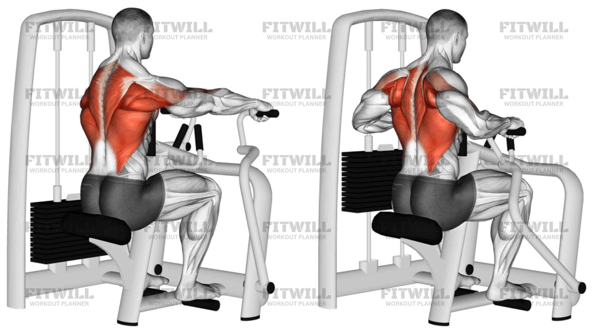 Lever Seated Row: Exercise Guide, Video, Techniques, Benefits, How to ...