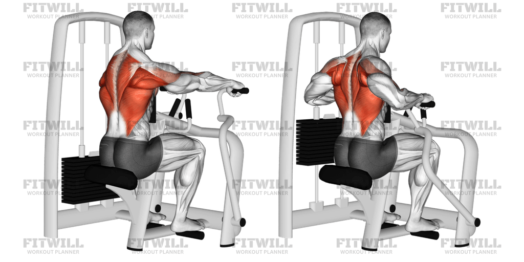 Remo Sentado Con Palanca: Guía de Ejercicios, Video, Técnicas ...