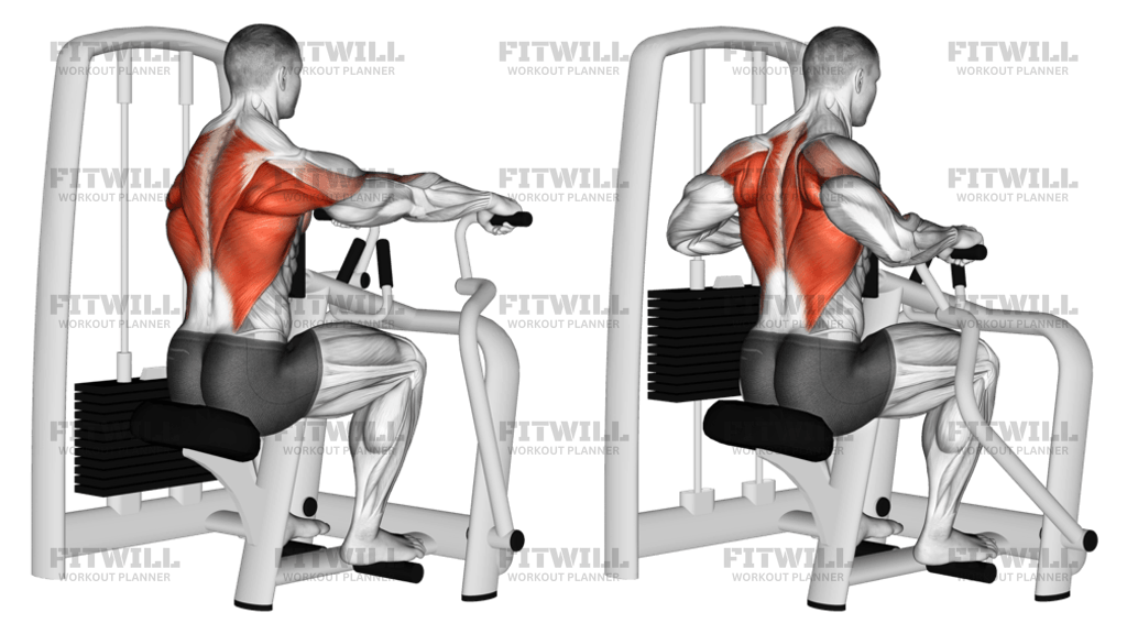 Lever Seated Row: Exercise Guide, Video, Techniques, Benefits, How to ...