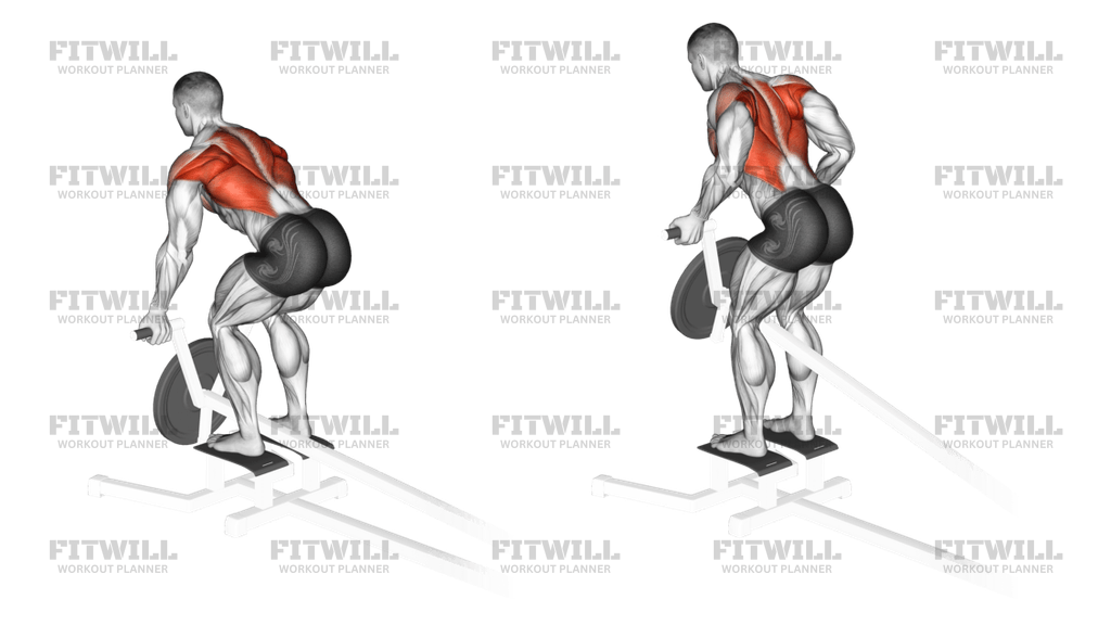 Remada Invertida Na Barra T Com Pegada Reversa Na Máquina De Alavanca ...