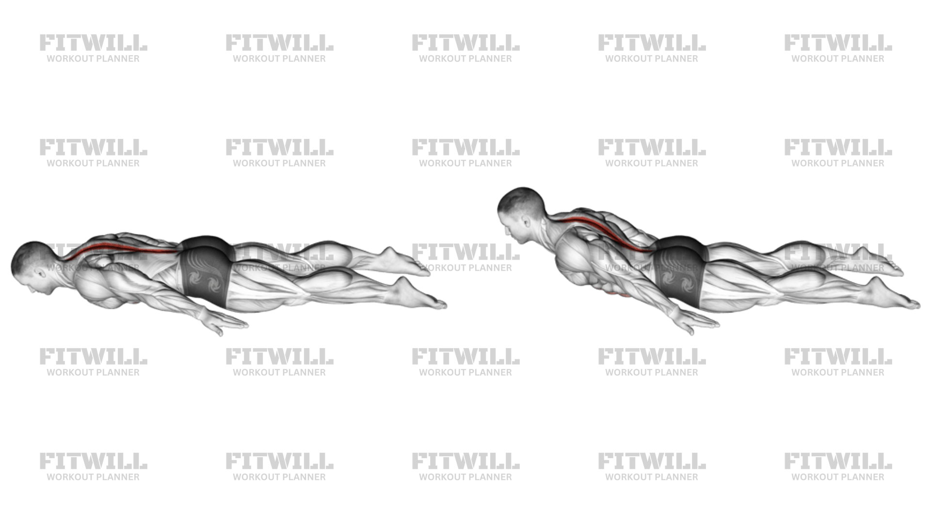 Bodyweight Lying Lower Back Curl: Exercise Guide, Techniques, Benefits ...