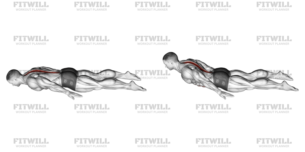 Bodyweight Lying Lower Back Curl: Exercise Guide, Techniques, Benefits ...