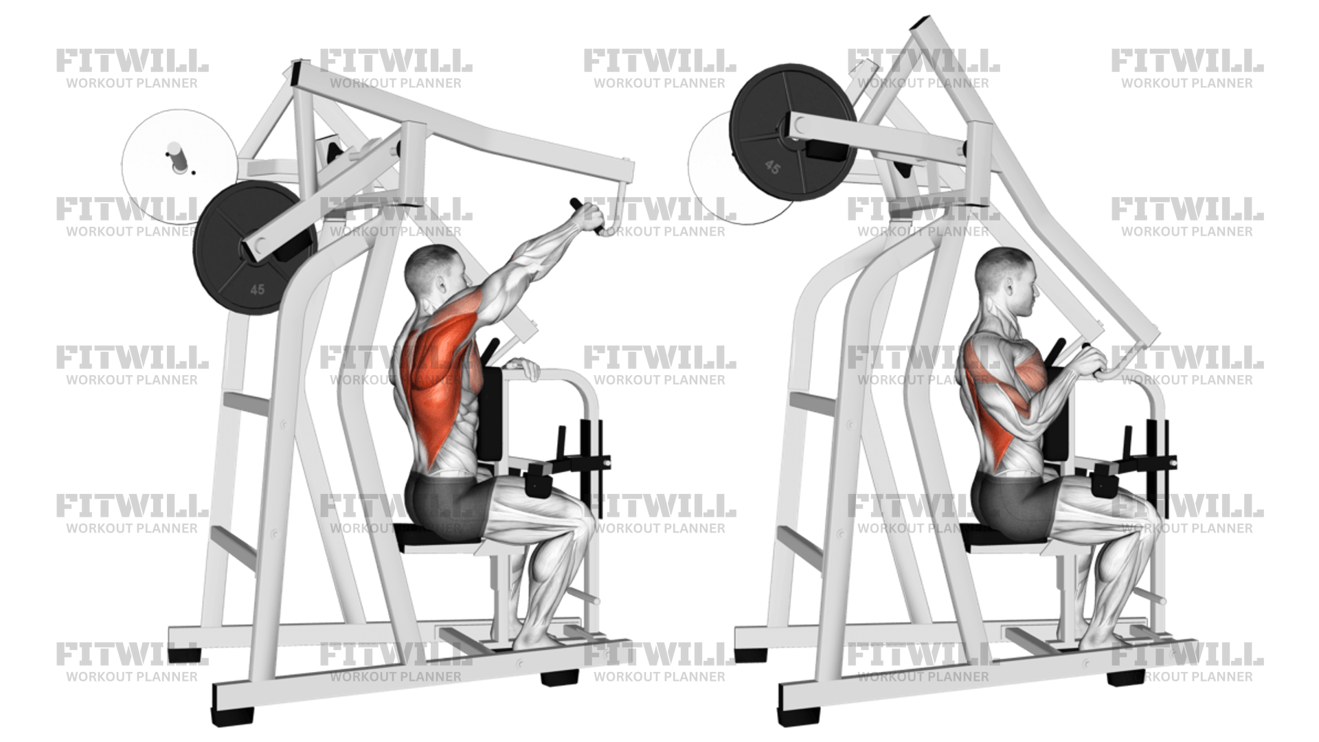 Lever One Arm Lateral High Row: Exercise Guide, Video, Techniques ...