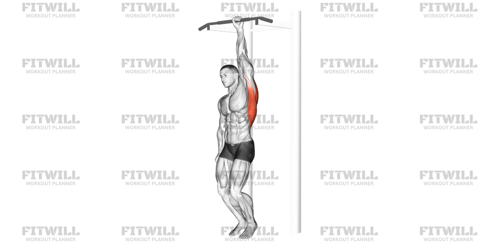 One Handed Hang: Exercise Guide, Video, Techniques, Benefits, How to ...