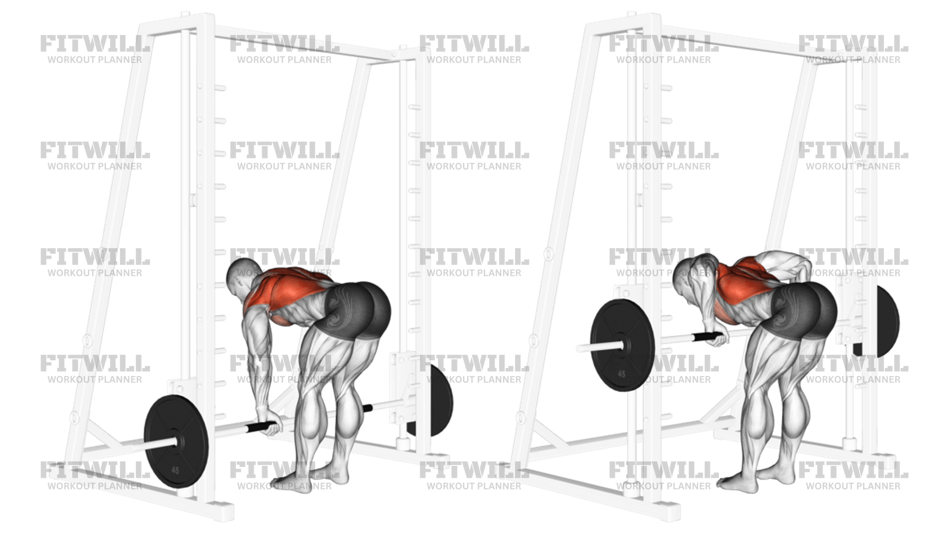 Smith Bent Over Row: Exercise Guide, Video, Techniques, Benefits, How to, Muscles Worked, Tips ...