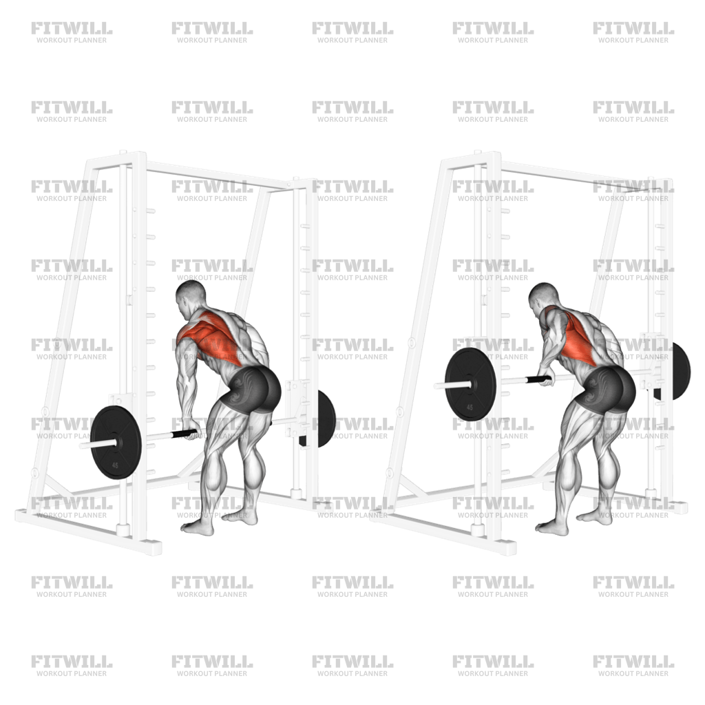 Smith One Arm Row: Exercise Guide, Techniques, Benefits, How to ...