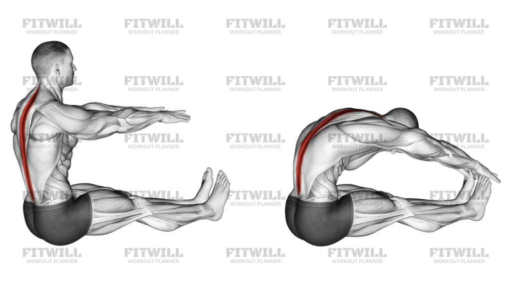 Spine Stretch: Exercise Guide, Video, Techniques, Benefits, How to ...