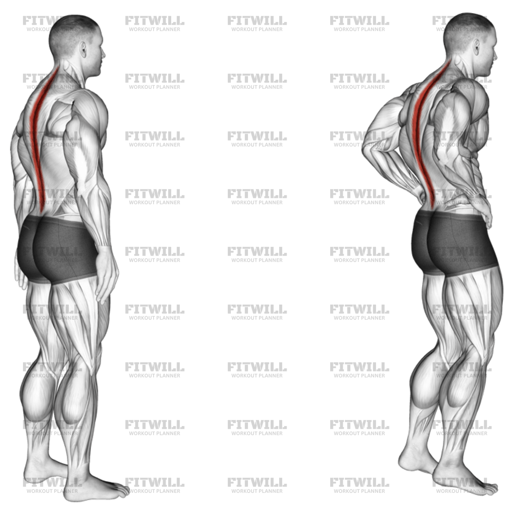 Standing Pelvic Tilt: Exercise Guide, Techniques, Benefits, How to ...