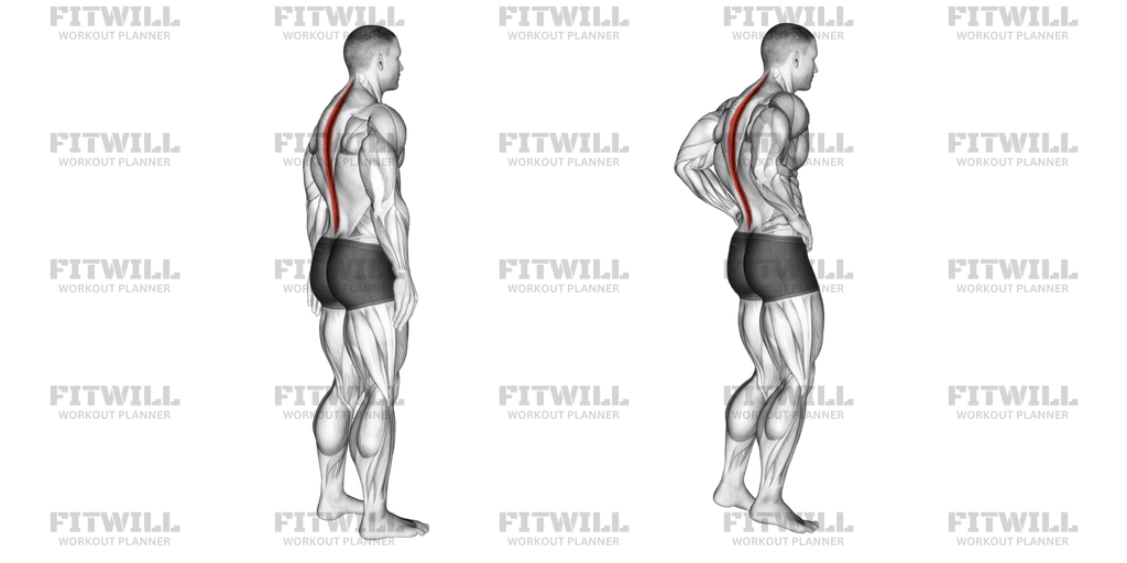 Standing Pelvic Tilt: Exercise Guide, Techniques, Benefits, How to ...