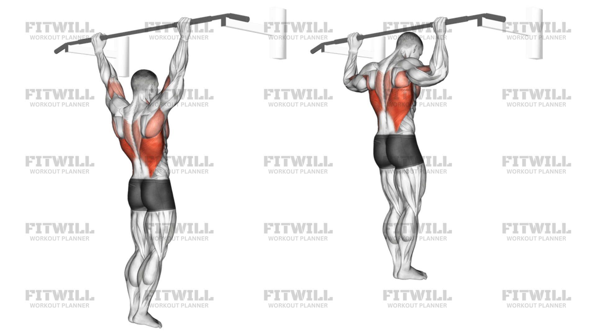 Wide Grip Rear Pull-Up: Exercise Guide, Video, Techniques, Benefits ...