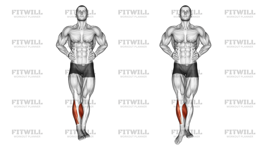Ankle Circles: Exercise Guide, Techniques, Benefits, How to, Muscles ...