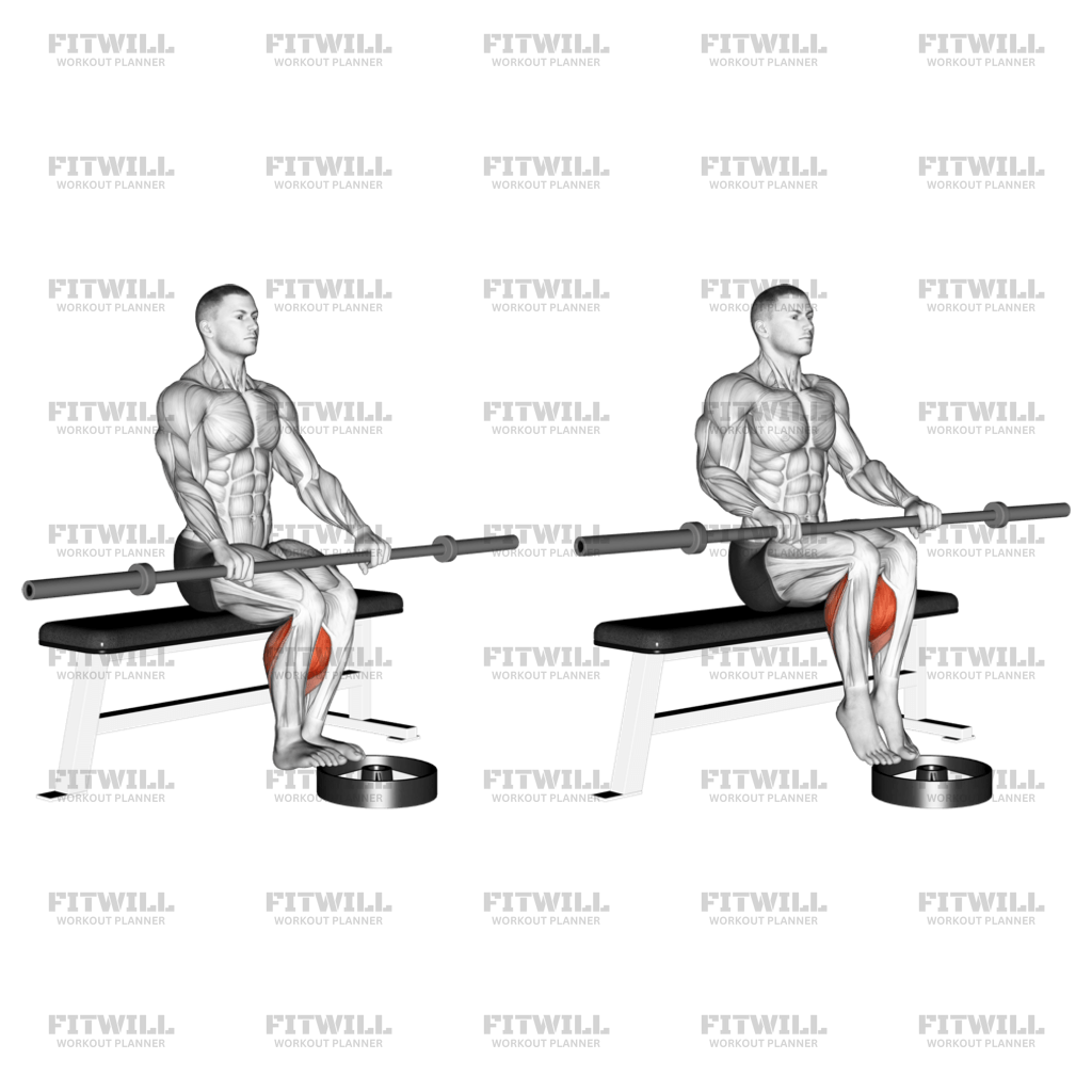 Barbell Seated Calf Raise: Exercise Guide, Techniques, Benefits, How to ...