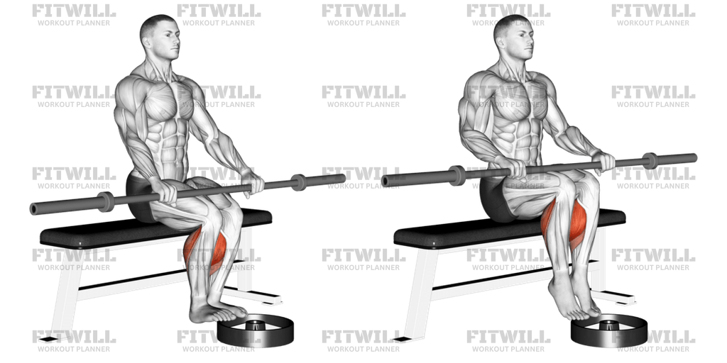 Barbell Seated Calf Raise: Exercise Guide, Techniques, Benefits, How to ...