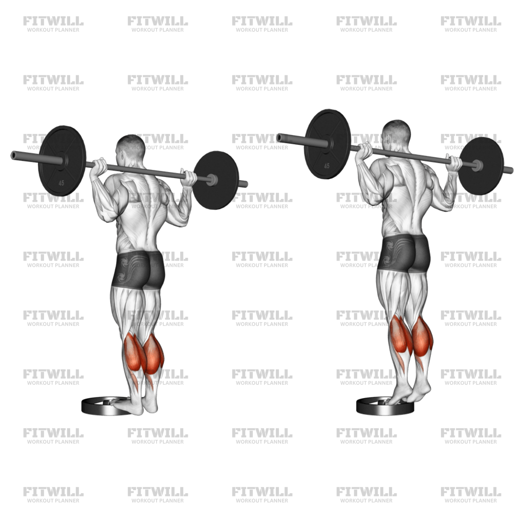 Barbell Standing Calf Raise: Exercise Guide, Video, Techniques ...