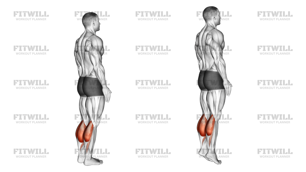 Standing Calf Raise: Exercise Guide, Video, Techniques, Benefits, How ...
