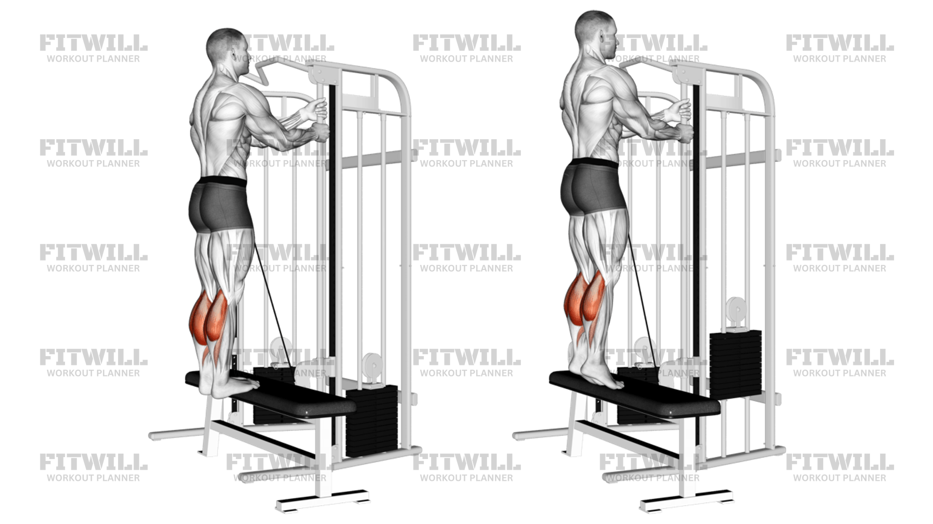 Cable Standing Calf Raise: Exercise Guide, Techniques, Benefits, How to ...